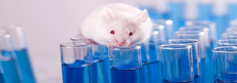 Biocompatibility Testing For Medical Devices | I3CGLOBAL